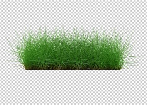 Premium Psd Grass Cutout 3d Rendering Illustration