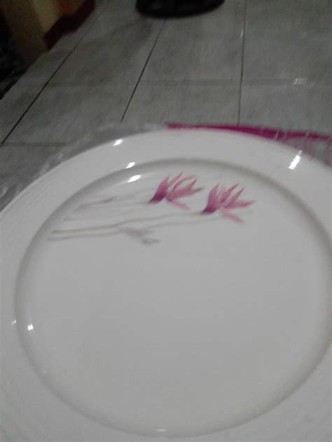 Tupperware Plate Luxuria Furniture And Home Living Home Improvement And Organization Storage