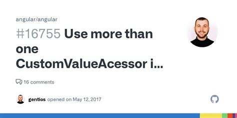 Use More Than One CustomValueAcessor In One Input Field Issue Angular Angular GitHub
