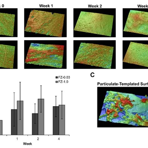 White Light Interferometry Surface Analysis A B Fibre Zone Surface Download Scientific