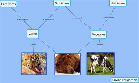 Mapa Conceptual De La Clasificacion De Los Animales Brainlylat