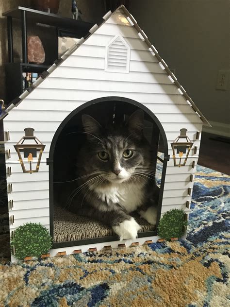 Diy Cardboard Cat House