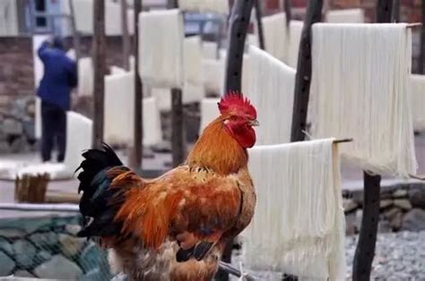 乡愁，是一碗细细的妈祖面