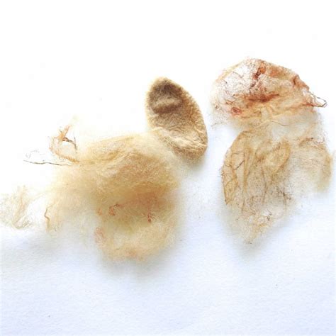 Eri Red Silk Cocoons Cruelty Free Mixed Media Jewellery Stitching