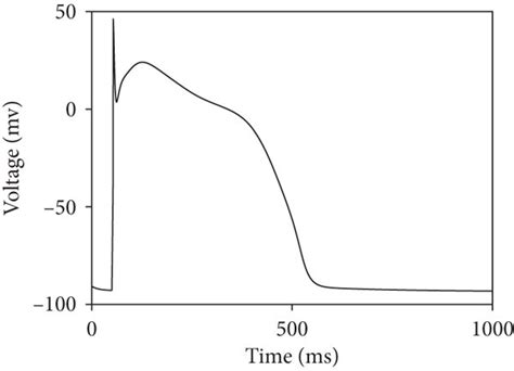 Ap And Nd Morphology Of Pb Cell Where Related Ionic Currents Are