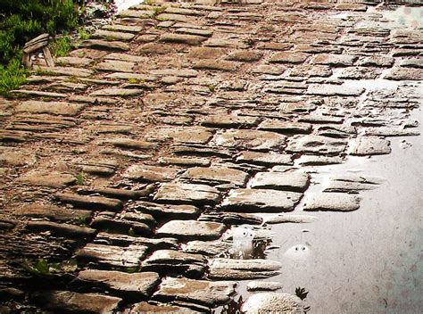 Design All The Things Bitty Monsters Puddle Ecosystem