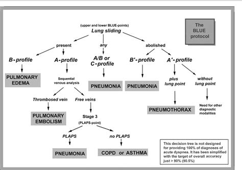 Figure 8 From Blue Protocol And Falls Protocol Two Applications Of