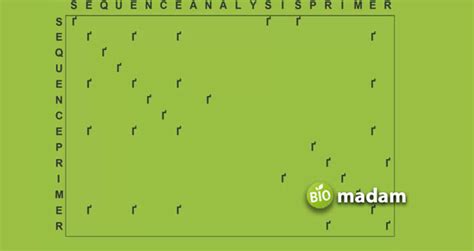 Pairwise Sequence Alignment Biomadam
