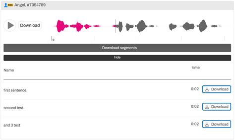How To Segment Audio In Speech Synthesis A Comprehensive Guide