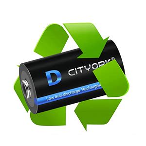 Cityork 4 Pack Rechargeable D Batteries 12v Ni Mh