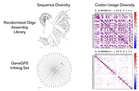 Codon Optimization Atum