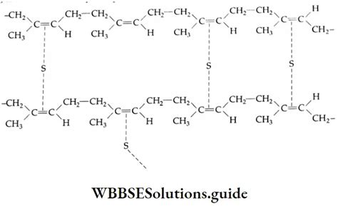 Polymers Types Classification Properties Wbbse Solutions
