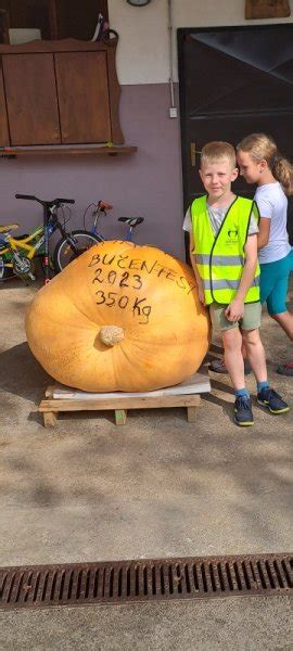 Prvi Pohod Na Debeli Hrib OŠ Ferda Vesela