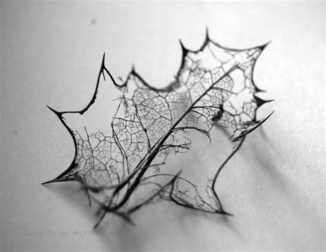 Leaf Skeleton Leaf Skeleton Leaves Maple Leaf Tattoo