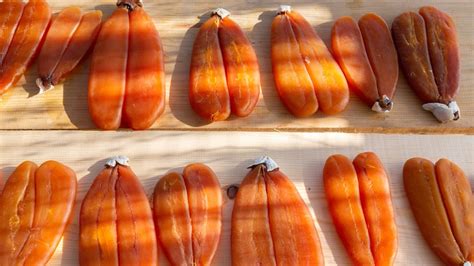 9 Types Of Bottarga Explained