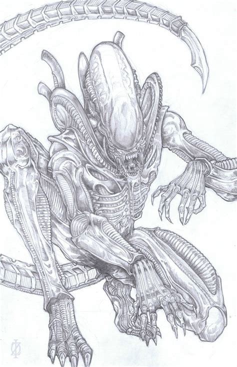 Xenomorph иностранца ChrisOzFulton Idee per tatuaggi Idee per disegnare Fotografia di animali Xenomorph иностранца ChrisOzFulton Idee per tatuaggi Idee per disegnare Fotografia di animali