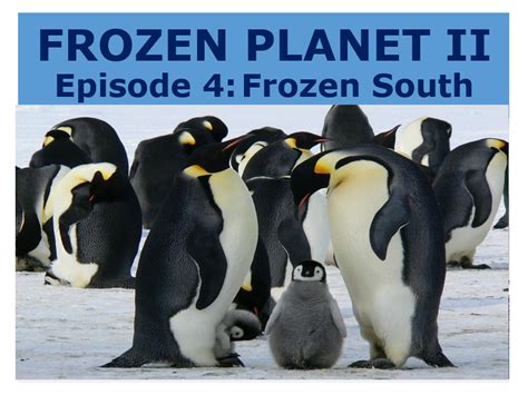 Frozen Planet 2 Teaching Resources
