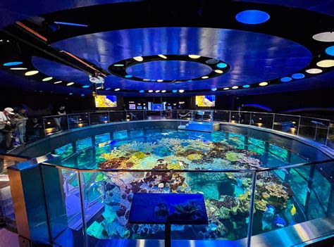 New England Aquarium Boston Ma Route 1 Views