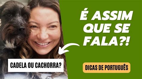 Diferen A Entre Cachorra E Cadela Revoeduca