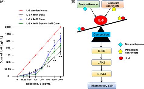 Competitive Binding Assay And The Schematic Summarizing The Key