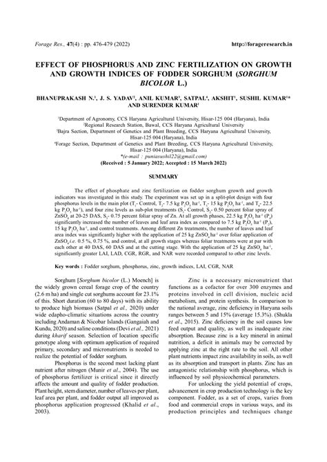 Pdf Effect Of Phosphorus And Zinc Fertilization On Growth And Growth Indices Of Fodder Sorghum
