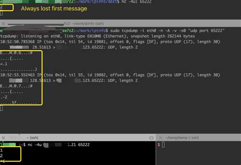 Simple Udp Client And Server In Nodejs Echo Server · Github