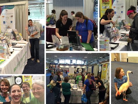 Nitty Gritty Science