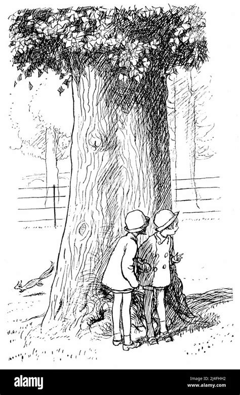 Girls Hiding Behind Tree Cut Out Stock Images Pictures Alamy