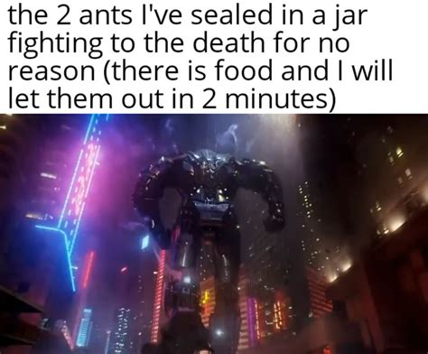 An Ant Meme Because I Couldnt Come Up With A Better Caption Rwhenthe