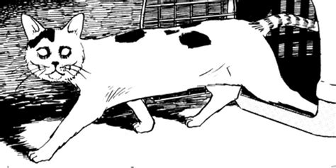 Uzumaki Other Junji Ito Works That Deserve Anime Series Adaptations