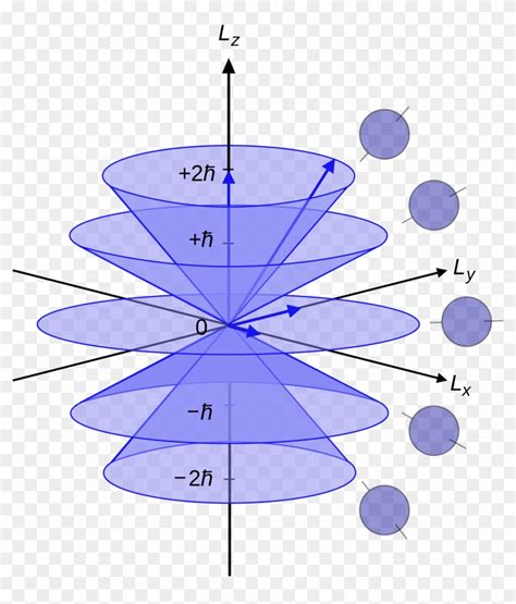 Illustration Of The Vector Model Of Orbital Angular Angular Momentum