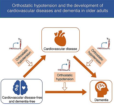 Pathophysiology Of Orthostatic Hypotension
