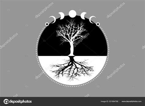 Tree Silhouette Roots Circle