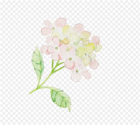 手绘小花png图片素材下载图片编号10685255 Png素材网
