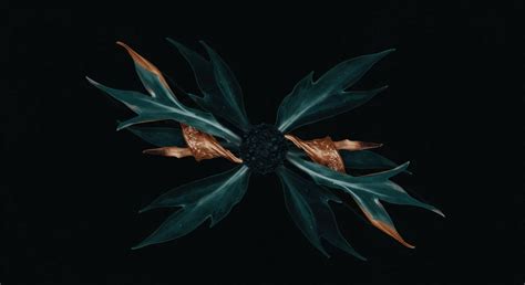 Ethical Framework → Term