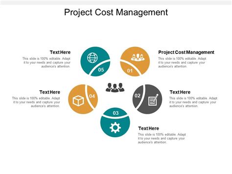 Project Cost Management Ppt Powerpoint Presentation Layouts Tips Cpb