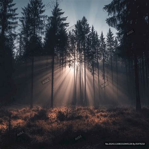 Ai创作图黎明曙光森林破晓 森林耶稣光 森林一束光 森林曙光 唯美树木日出 清晨梦幻光影 林间阳光斑驳 林中夕照图片素材下载 意境山水森林