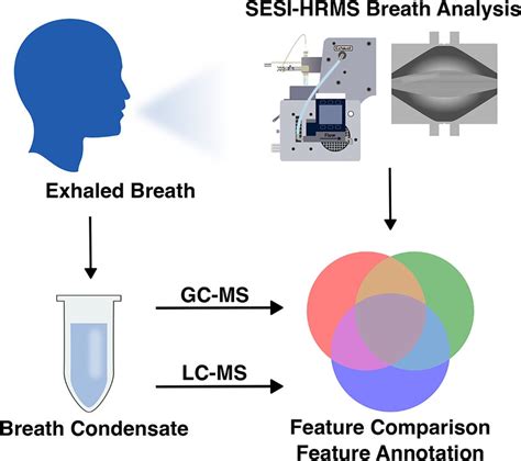 Comparative Analysis Of Feature Annotation Methods For Sesi Hrms In Comparative Analysis Of Feature Annotation Methods For Sesi Hrms In