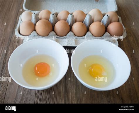 Organic Pasture Farm Eggs Vs Conventional Eggs A Side By Side