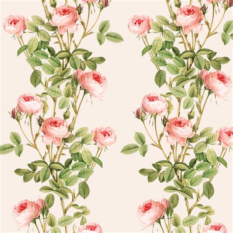Vintage Rose Wallpapers Vintage Rose Red A4 Paper The Paper Place
