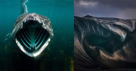 Thalassophobia Fear Of Deep Water Photos