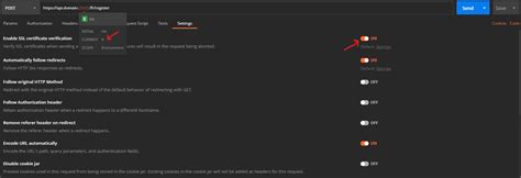 Add Possibility To Store Settings In The Environment Variables Issue Postmanlabs