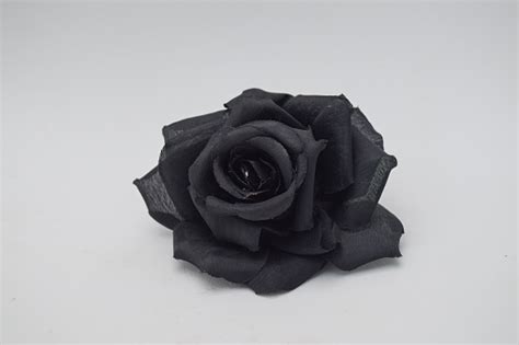 꼼꼼하게 제작된 한 송이의 검은 장미가 깨끗한 흰색 배경을 배경으로 클로즈업 샷으로 포착되었습니다 꽃 식물에 대한 스톡 사진 및 기타 이미지 Istock