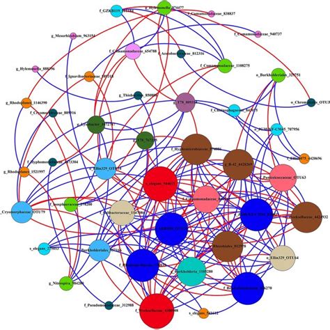 Microbial Co Occurrence Network In The Hydrolytic Bioreactor Activated