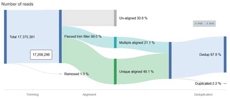 Chip Seq Basepairtech Jp