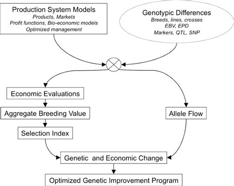 Elements Of Genetic Improvement Programs Download Scientific Diagram