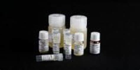 Binding Site Offers Variety Of Recombinant Treponema Pallidum Antigens For Research