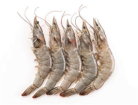 Prawns Small