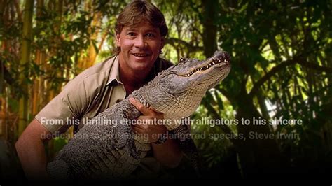 Steve Irwin Facts The Crocodile Hunters Lasting Legacy In Wildlife