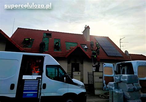 Wełna Celulozowa A Gryzonie Czy To Skuteczna Ochrona Przed Szkodnikami